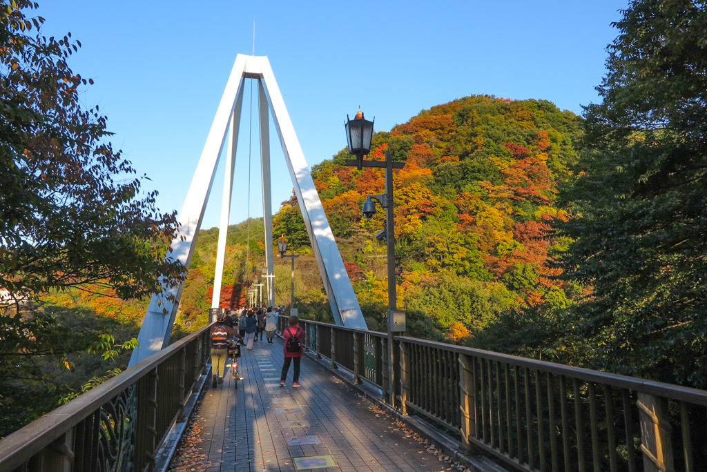 秋のサイクリングおすすめコース9選!TABIRINで見つける絶景ライド - TABIRIN（たびりん）