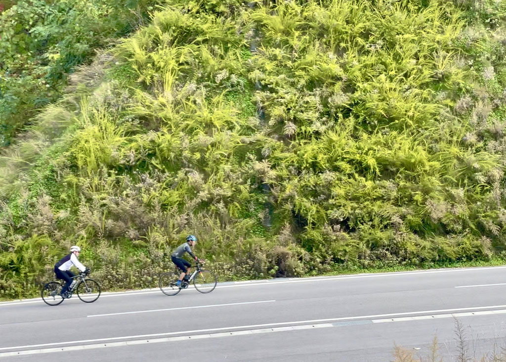 【長野県】北アルプス地域サイクリングモデルコース、秋の美しい景色堪能66kmサイクリング《PR》 - TABIRIN（たびりん）