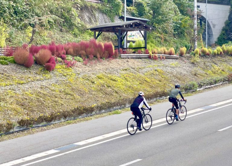 【長野県】北アルプス地域サイクリングモデルコース、秋の美しい景色堪能66kmサイクリング《PR》 - TABIRIN（たびりん）