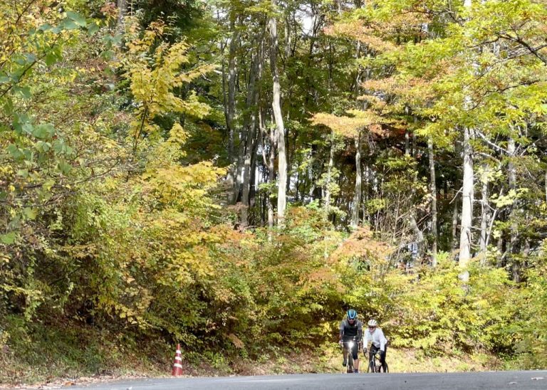 【長野県】北アルプス地域サイクリングモデルコース、秋の美しい景色堪能66kmサイクリング《PR》 - TABIRIN（たびりん）