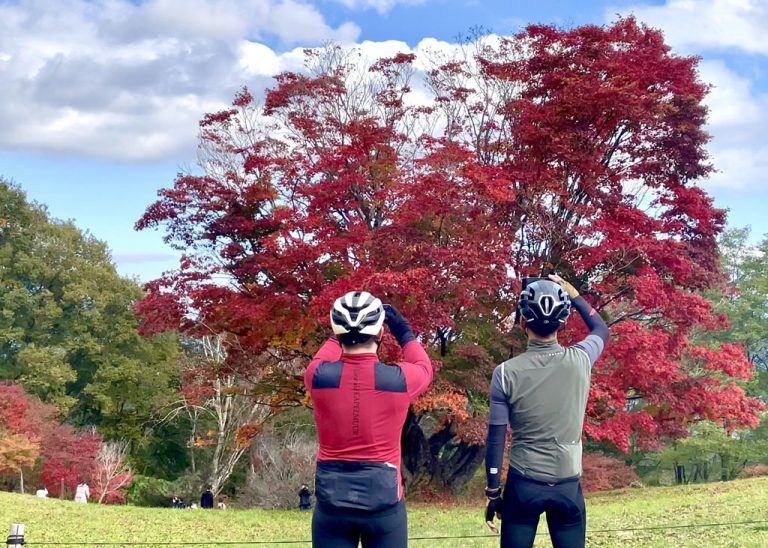 【長野県】北アルプス地域サイクリングモデルコース、秋の美しい景色堪能66kmサイクリング《PR》 - TABIRIN（たびりん）