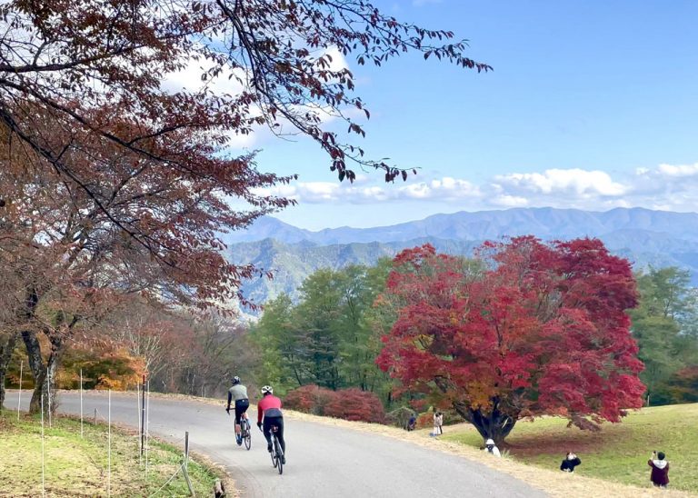 【長野県】北アルプス地域サイクリングモデルコース、秋の美しい景色堪能66kmサイクリング《PR》 - TABIRIN（たびりん）
