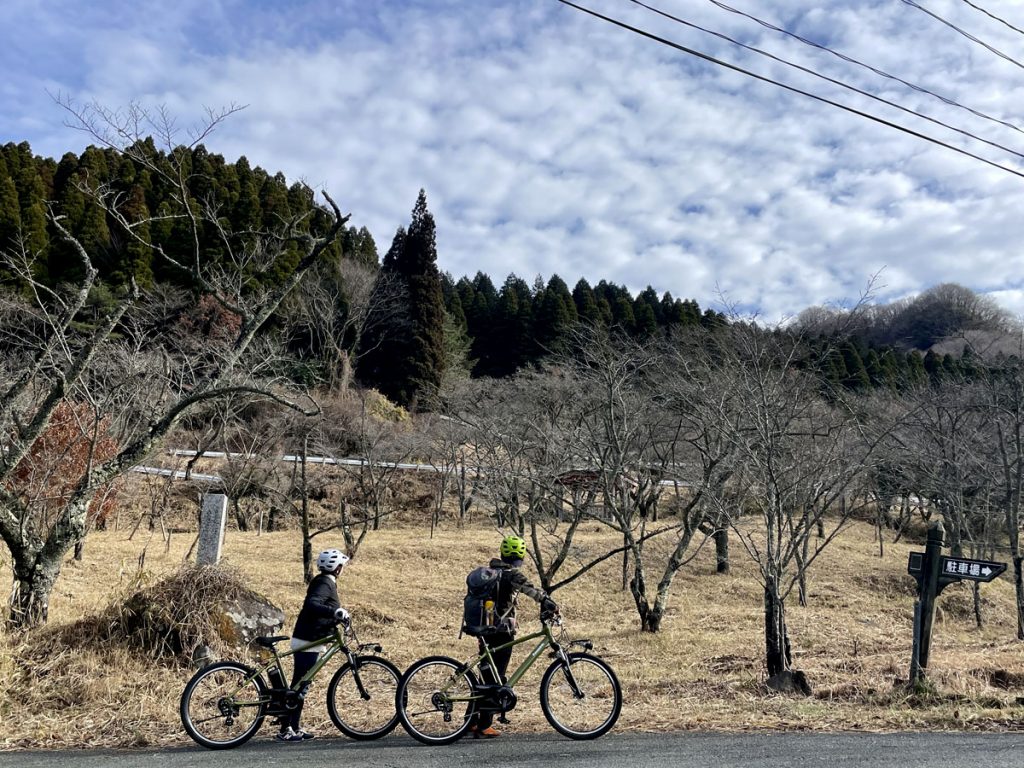 【熊本県】阿蘇五岳を望みカルデラに広がる風景をめぐる高森町の27km絶景サイクリング《PR》 - TABIRIN（たびりん）
