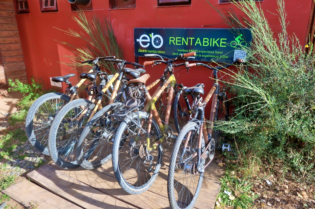 【アルゼンチン】世界遺産ペリートモレノ氷河とカラファテの町をサイクリング - TABIRIN（たびりん）