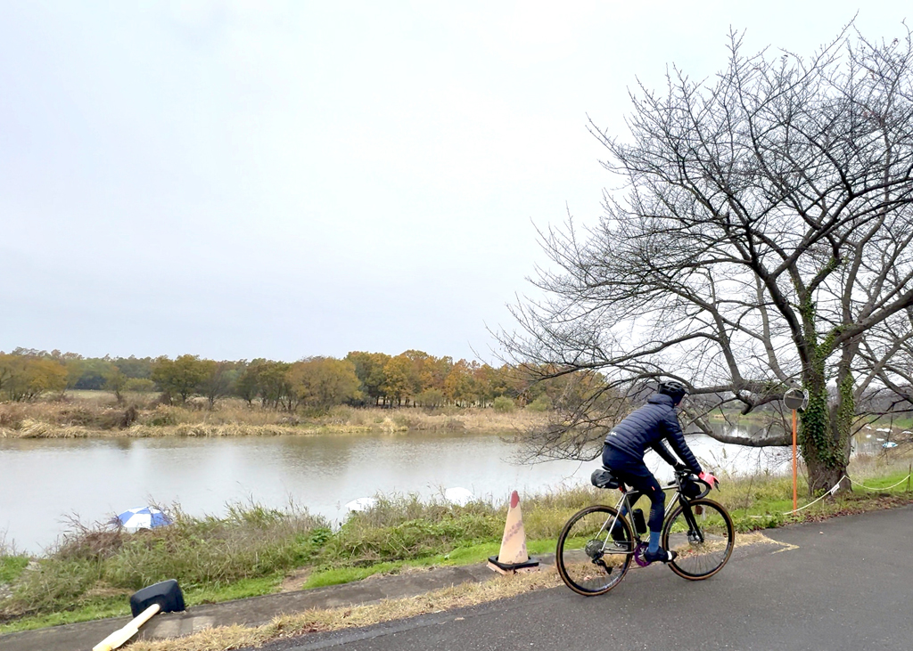 【埼玉県】舟運の歴史に触れ小江戸川越を巡る56kmコース《PR》 - TABIRIN（たびりん）