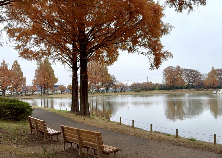 【埼玉県】舟運の歴史に触れ小江戸川越を巡る56kmコース《PR》 - TABIRIN（たびりん）