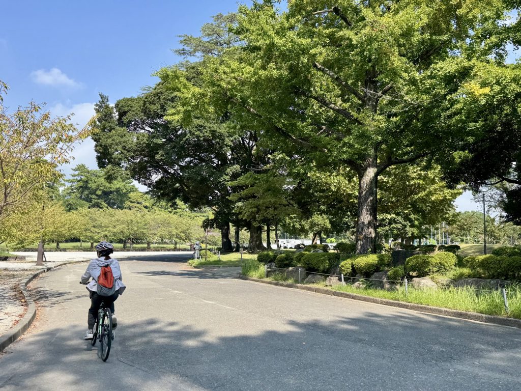 【静岡県】旧東海道の宿場町をめぐり、町並みや伝統の食を楽しむ28kmサイクリング《PR》 - TABIRIN（たびりん）